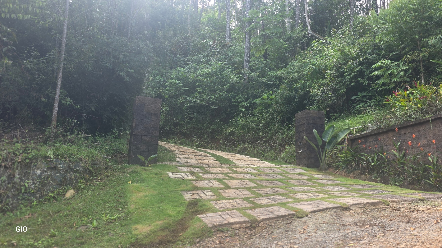 🌺 Aves del Paraíso – A Private Nature Sanctuary in Pérez Zeledón, Costa ...