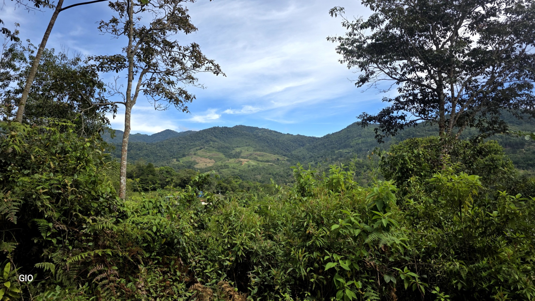 🌺 Aves del Paraíso – A Private Nature Sanctuary in Pérez Zeledón, Costa ...